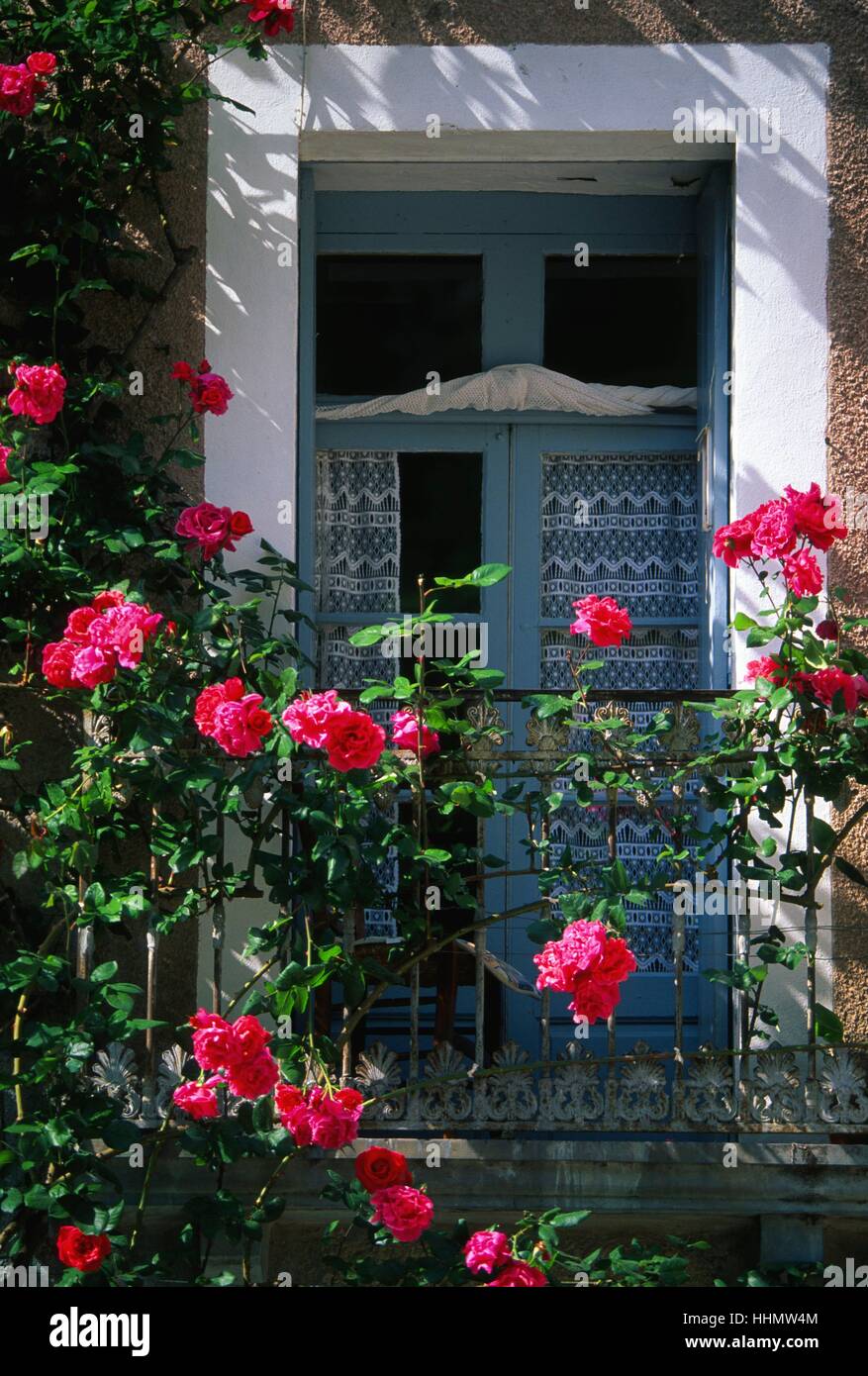 Roses flowers and balconies hi-res stock photography and images - Alamy