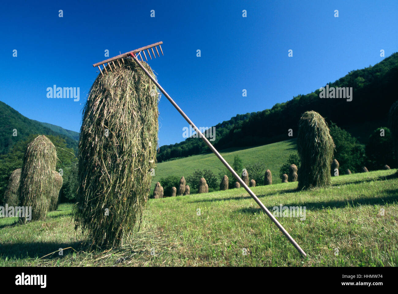 Traditional haymaking hi-res stock photography and images - Alamy