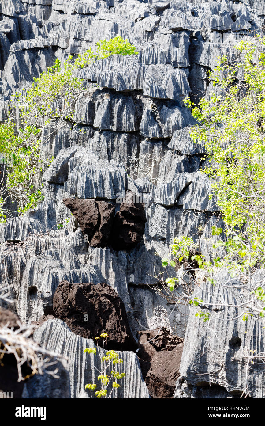 Curiously strange rock formations of fantastically eroded limestone ...