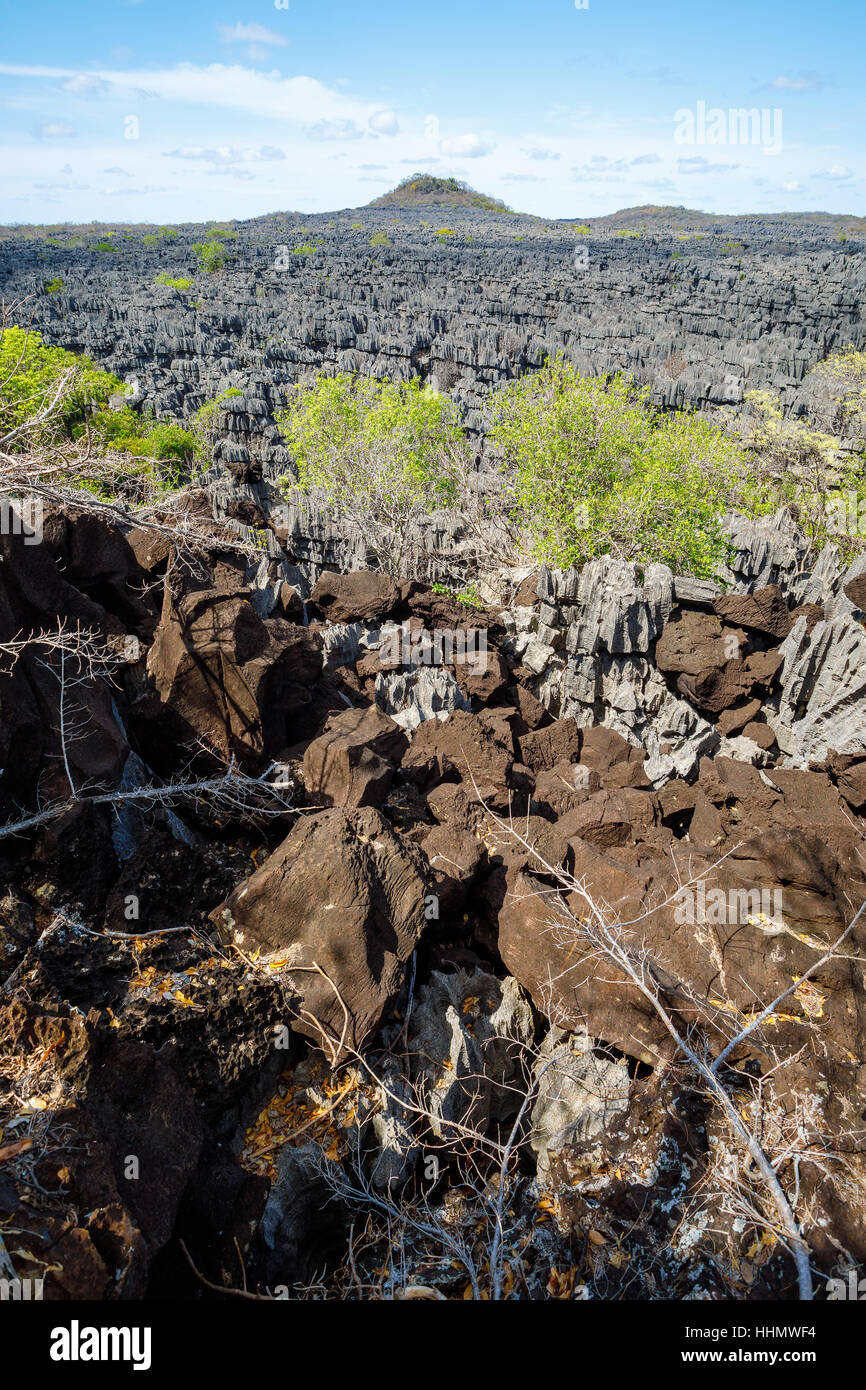 Curiously strange rock formations of fantastically eroded limestone ...