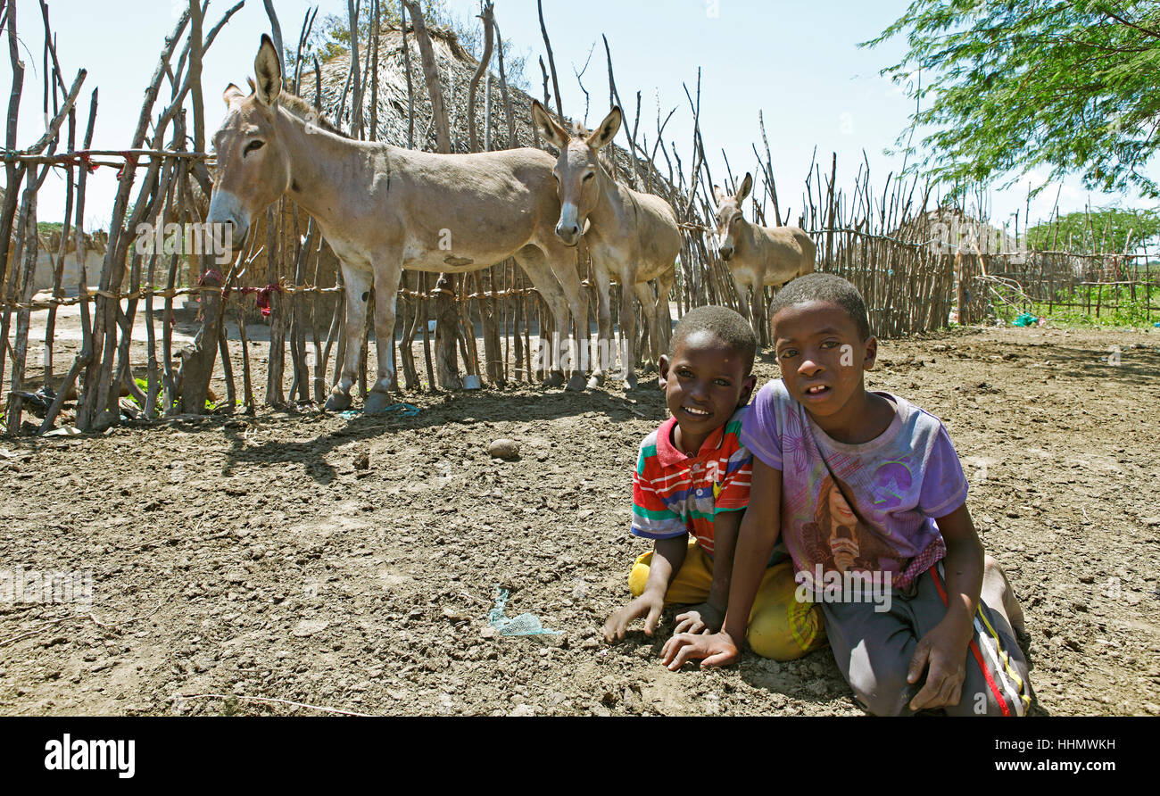 Boys and donkeys in front of mud hut, Orma ethnic community, Marafa ...