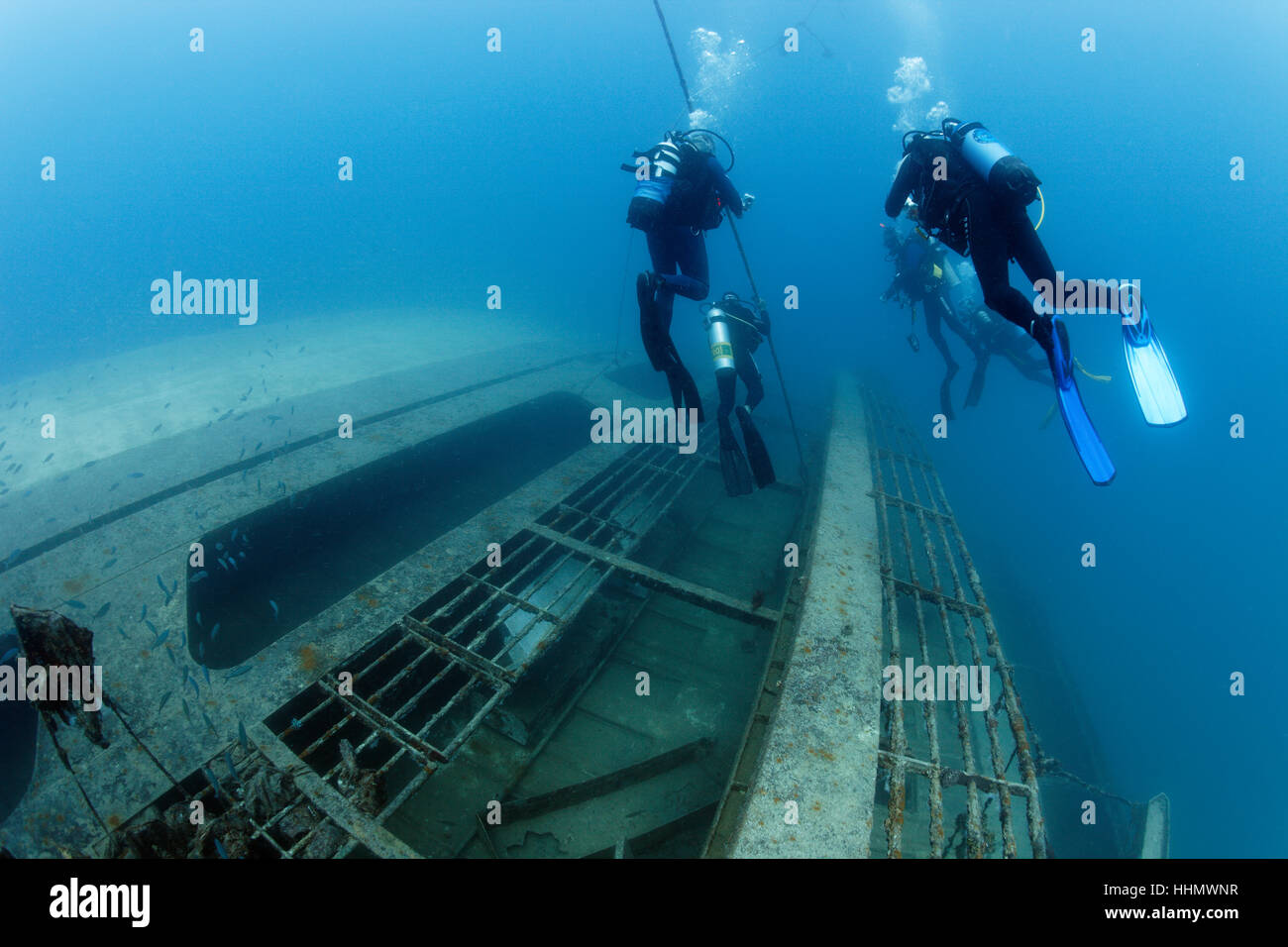 Divers at El Arish or El Arish El-Tor shipwreck, sunken car ferry, Port ...