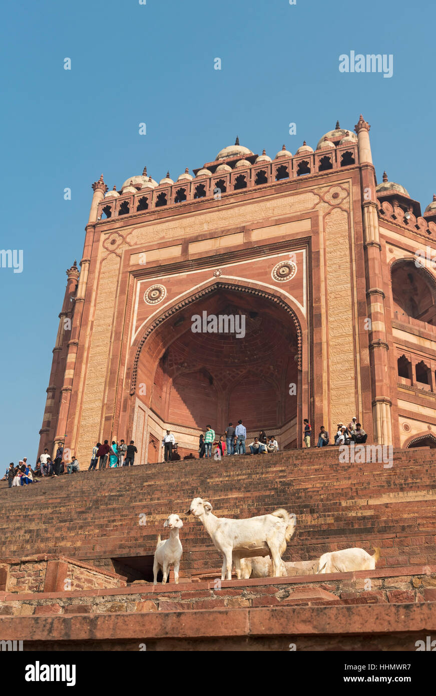 Goats in front of Buland Darwaza, Gate of Magnificence, Great Gate ...