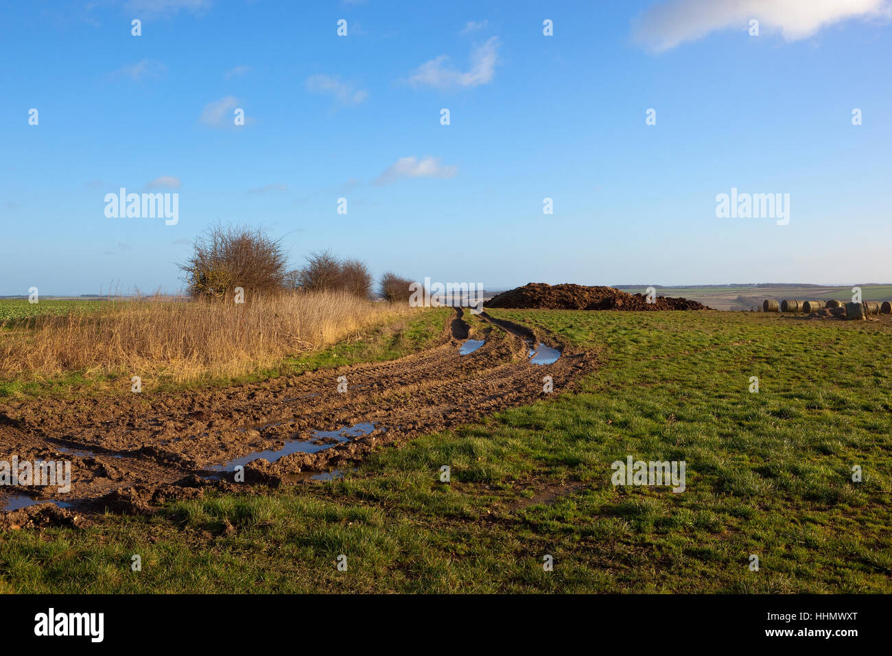 Muddy track hi-res stock photography and images - Alamy