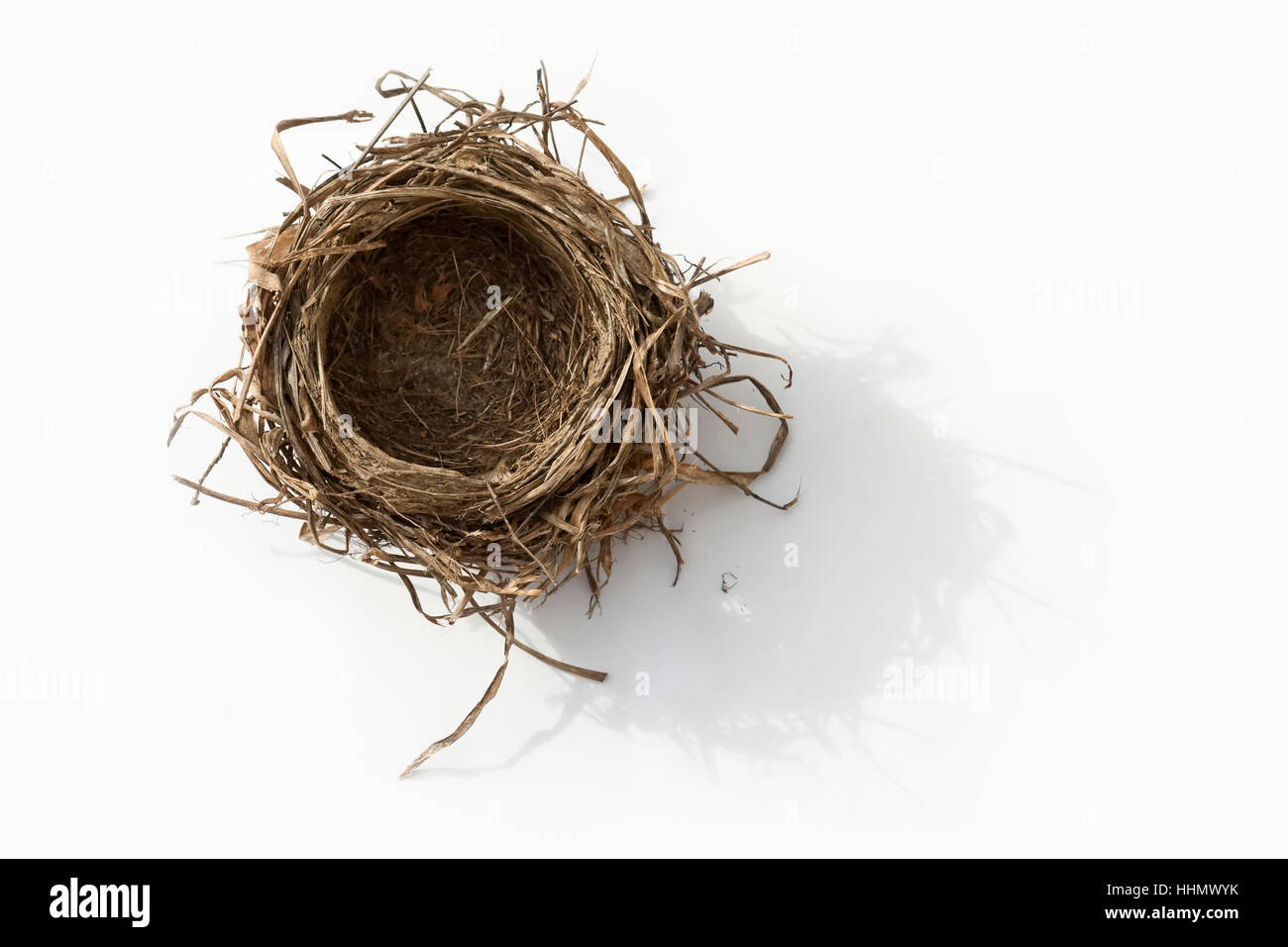 nest, empty, backdrop, background, white, isolated, brown, brownish ...