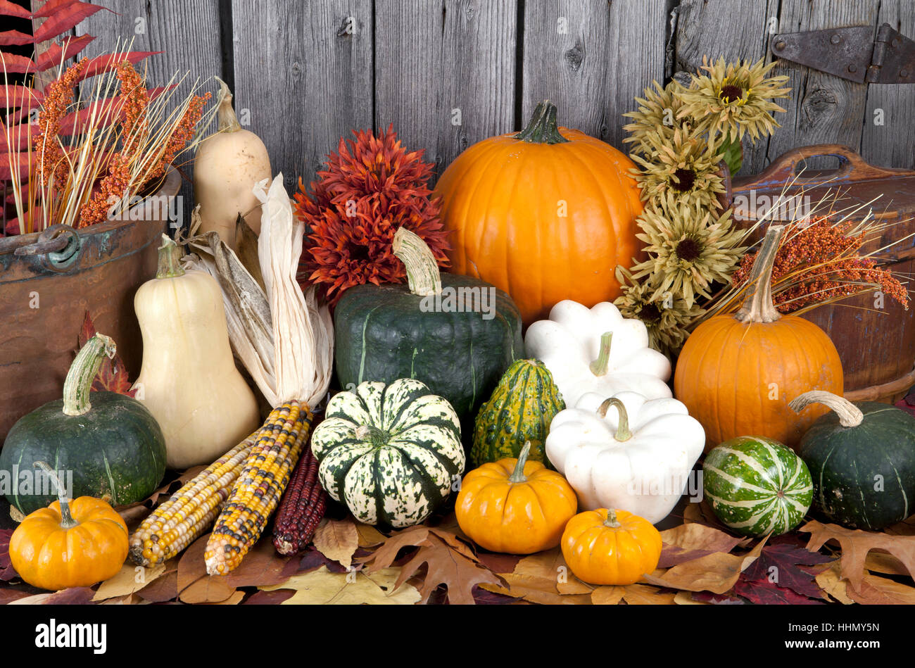harvest, vegetable, pumpkin, thanksgiving, squash, gourd, fall, autumn ...