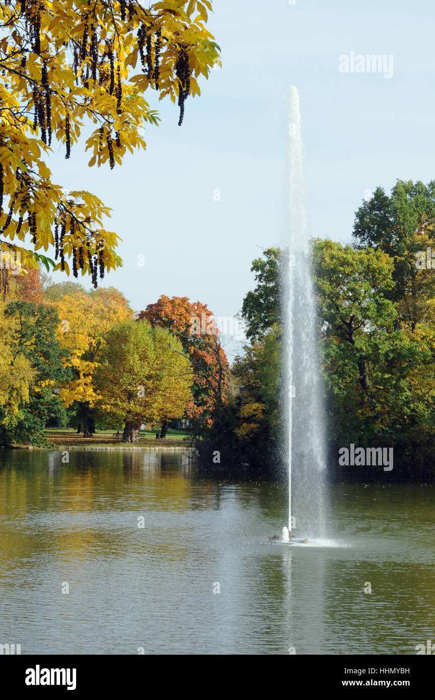 park, cologne, coloured, fresh water, pond, water, october, fall ...
