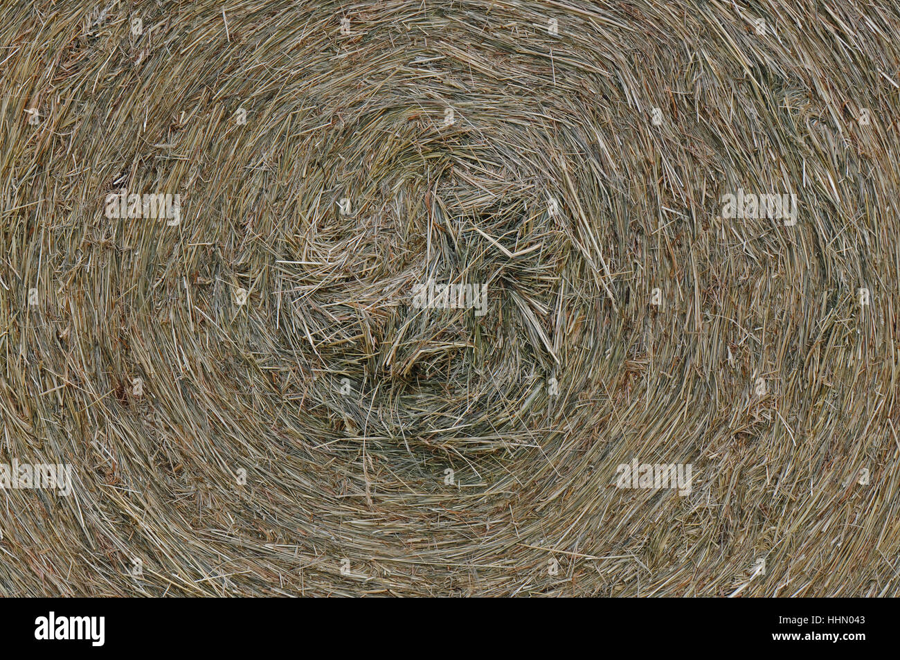 fodder, bucolic, agriculture, farming, hay-clench, hay, pet food ...