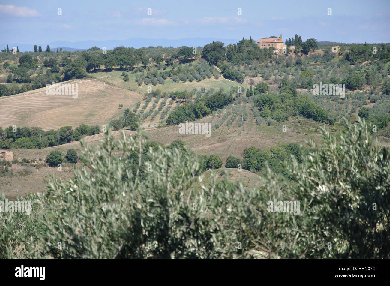 tuscany, sienna, italy, agriculture, farming, field, summer, summerly ...