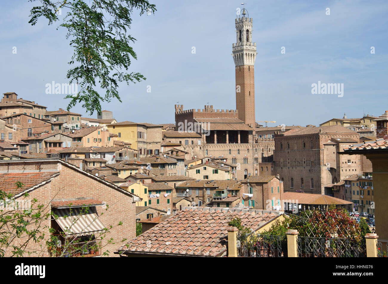 tuscany, sienna, italy, agriculture, farming, field, summer, summerly ...