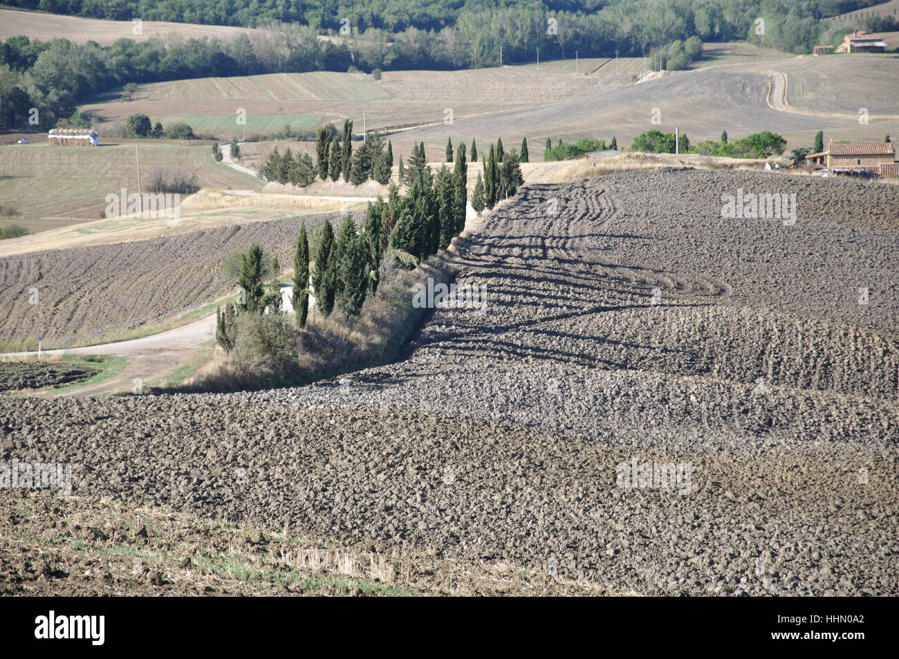 tuscany, sienna, italy, agriculture, farming, field, summer, summerly ...