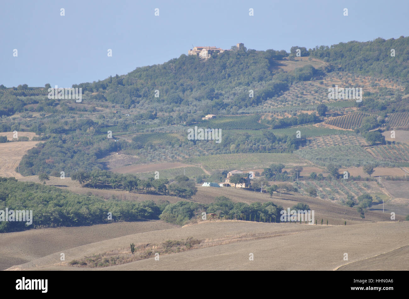 tuscany, sienna, italy, agriculture, farming, field, summer, summerly ...