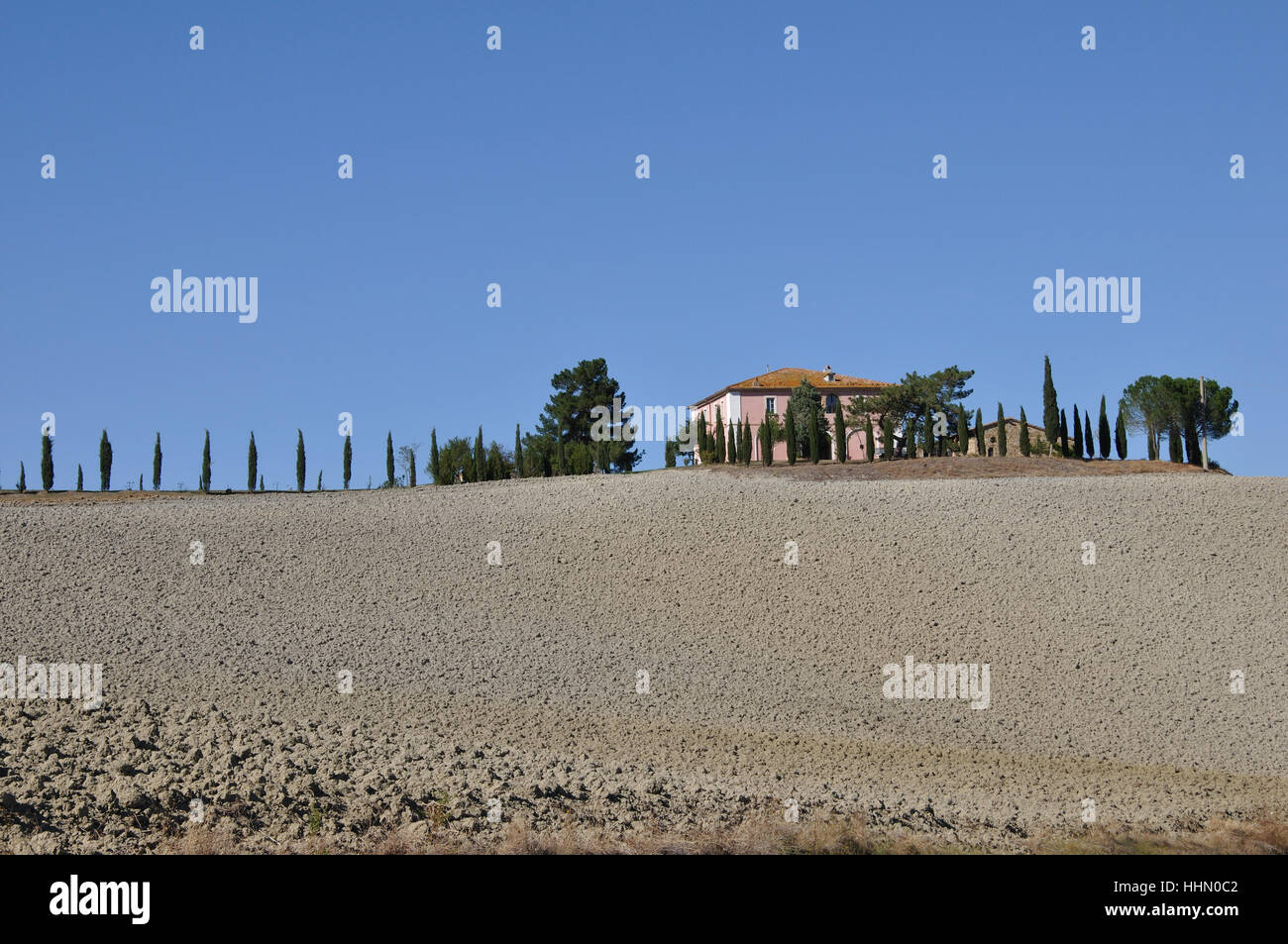 tuscany, sienna, italy, agriculture, farming, field, summer, summerly ...