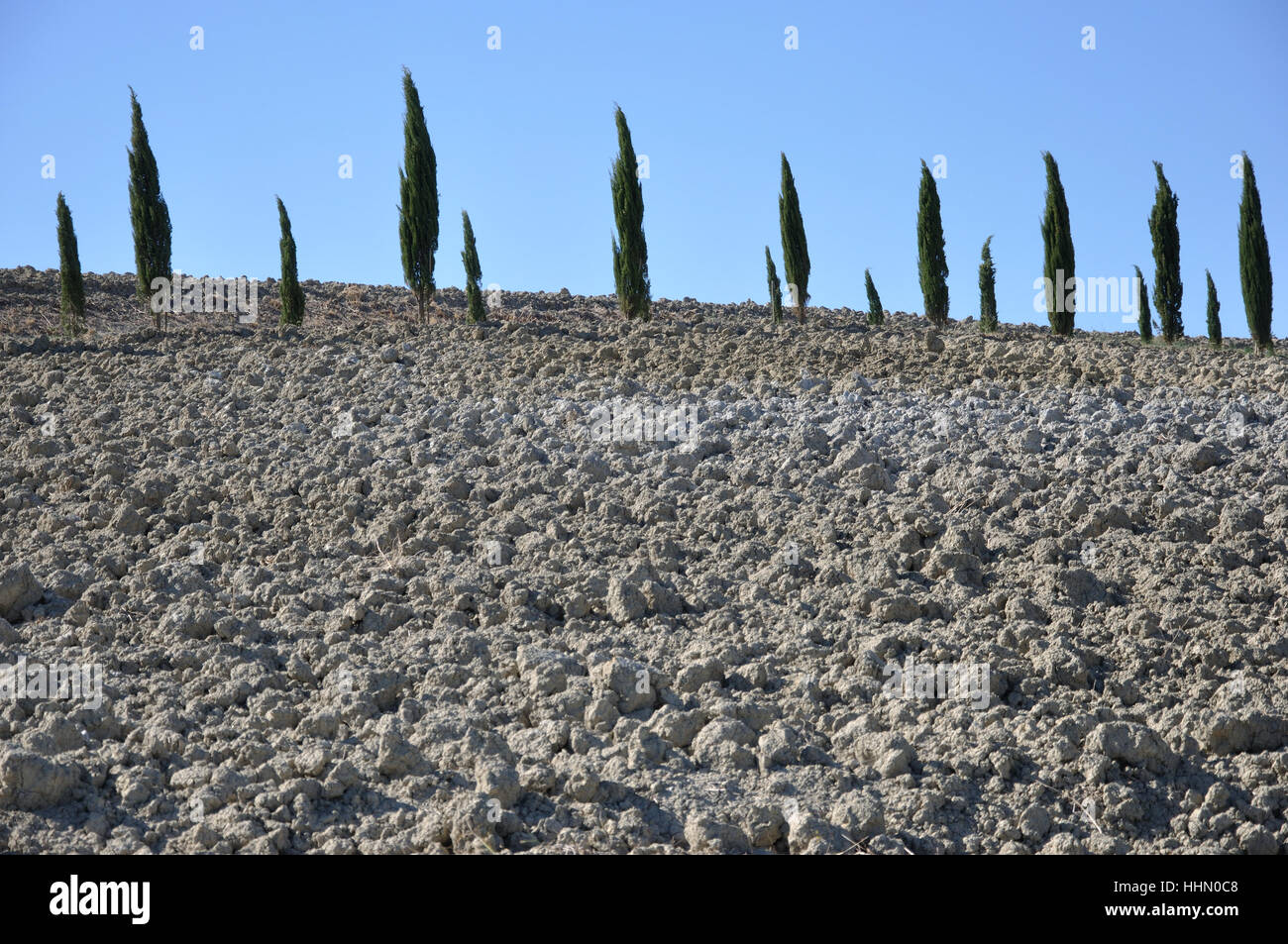 tuscany, sienna, italy, agriculture, farming, field, summer, summerly ...