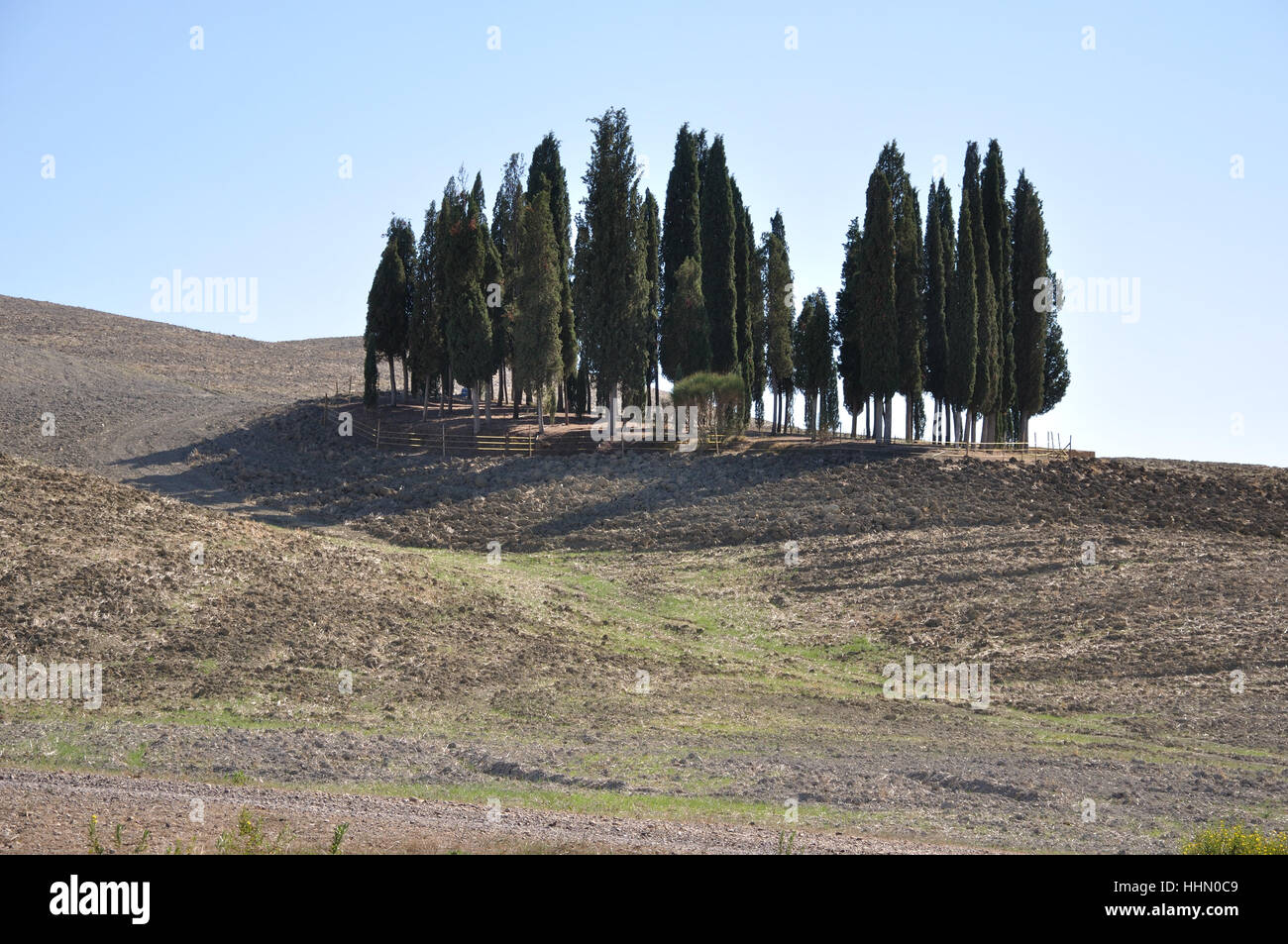 tuscany, sienna, italy, agriculture, farming, field, summer, summerly ...
