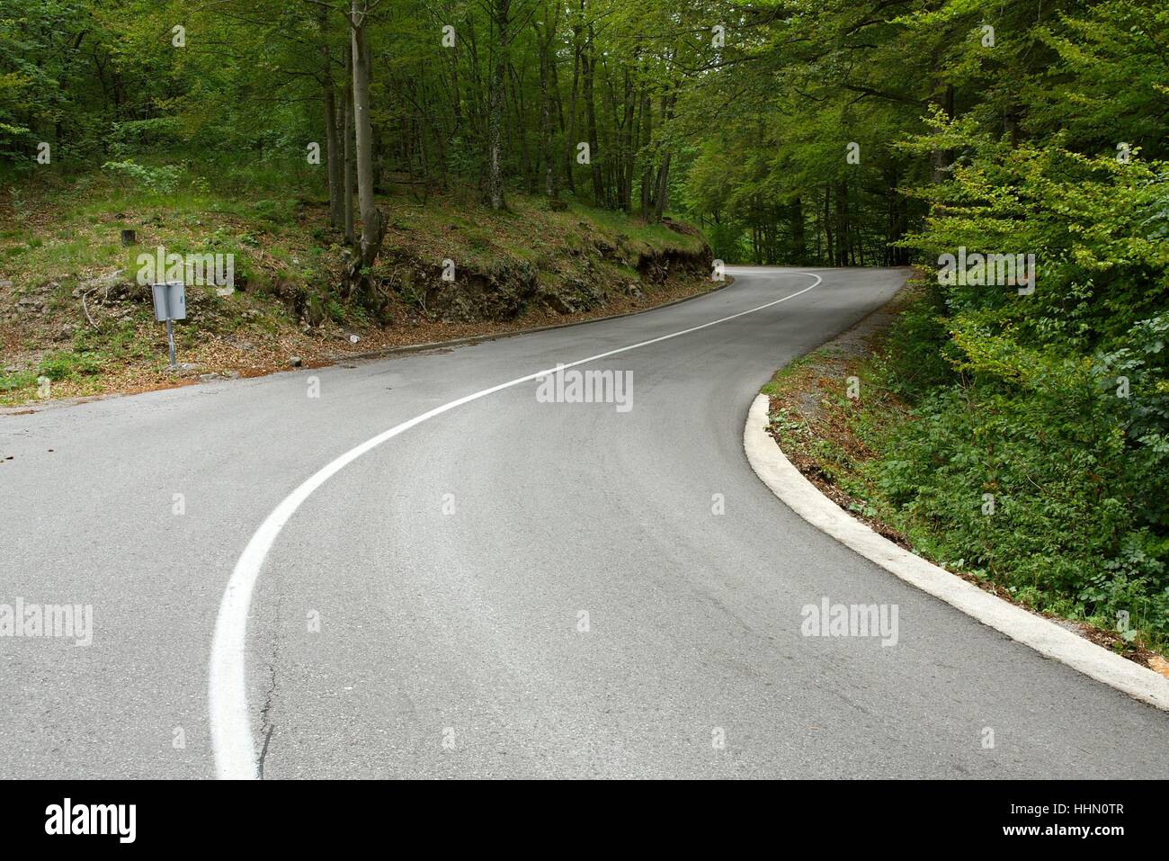 asphalt, route, bend, curve, crooked, warped, hunchbacked, humpbacked ...