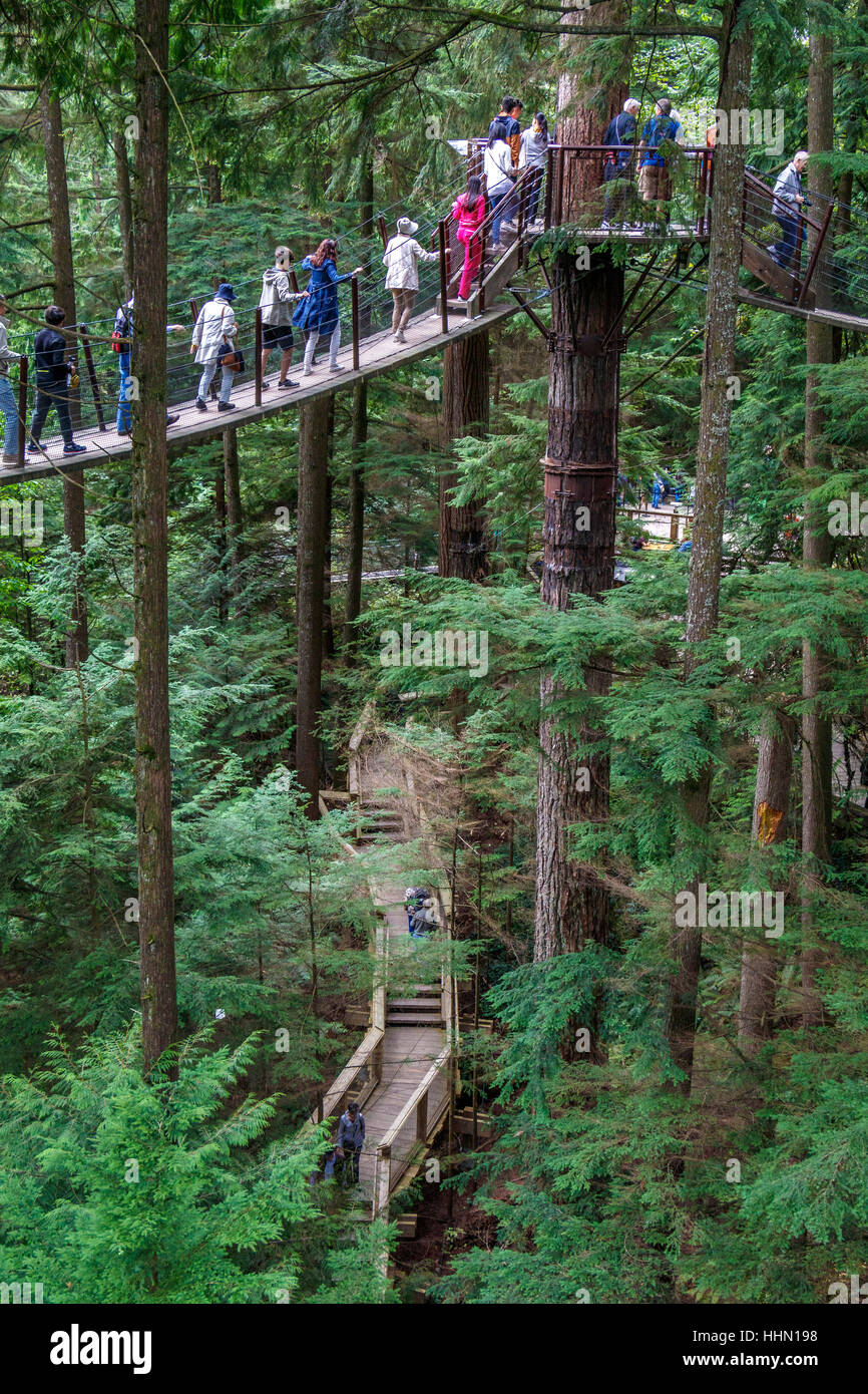 Tourists on the Capilano Park Treetops Adventure, Vancouver, British ...