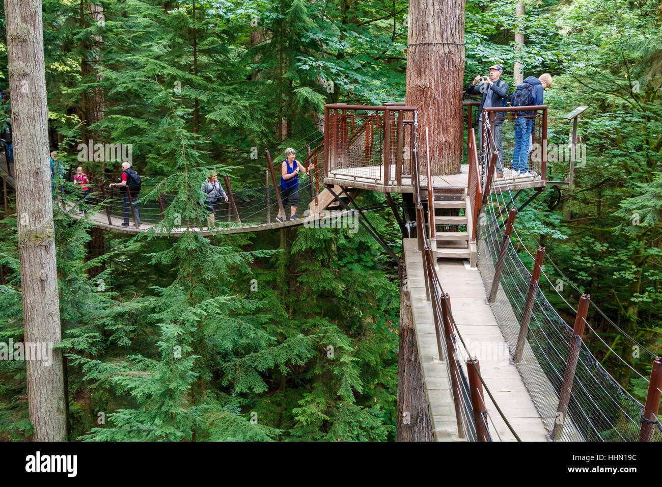 Capilano Suspension Bridge Tree Top Adventure