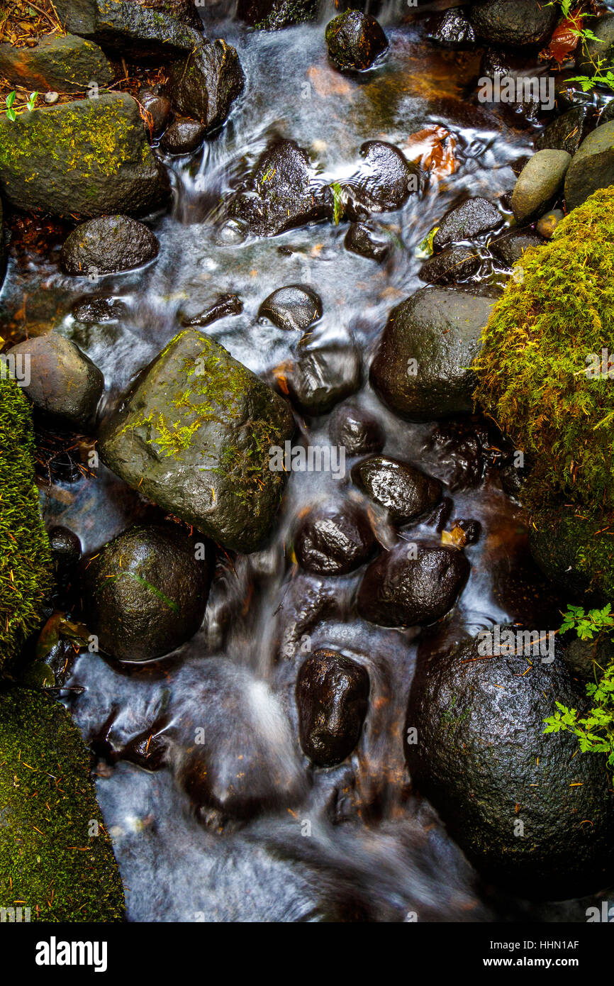 Rill erosion hi-res stock photography and images - Alamy