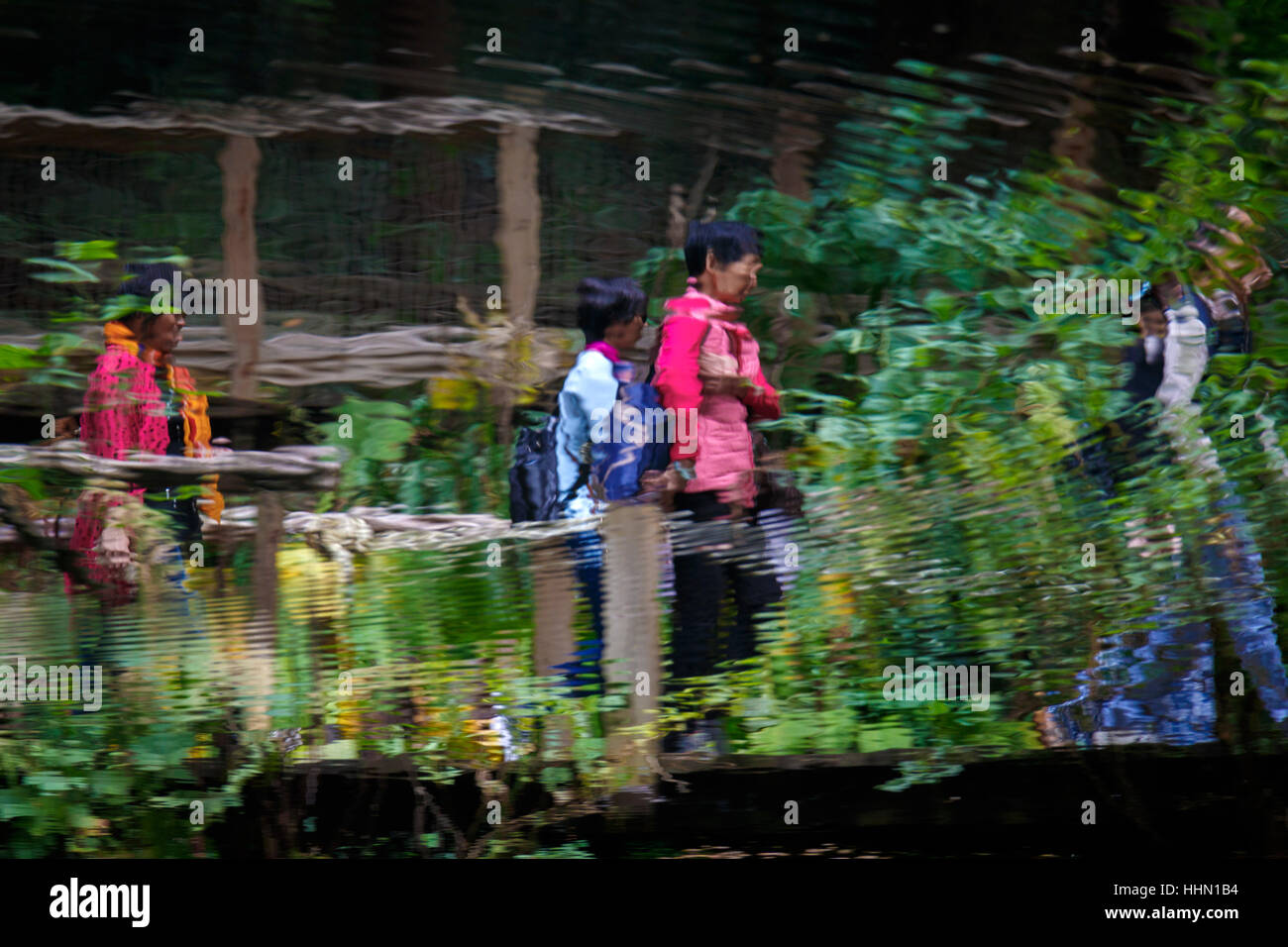 Walking through the treetops hi-res stock photography and images - Alamy