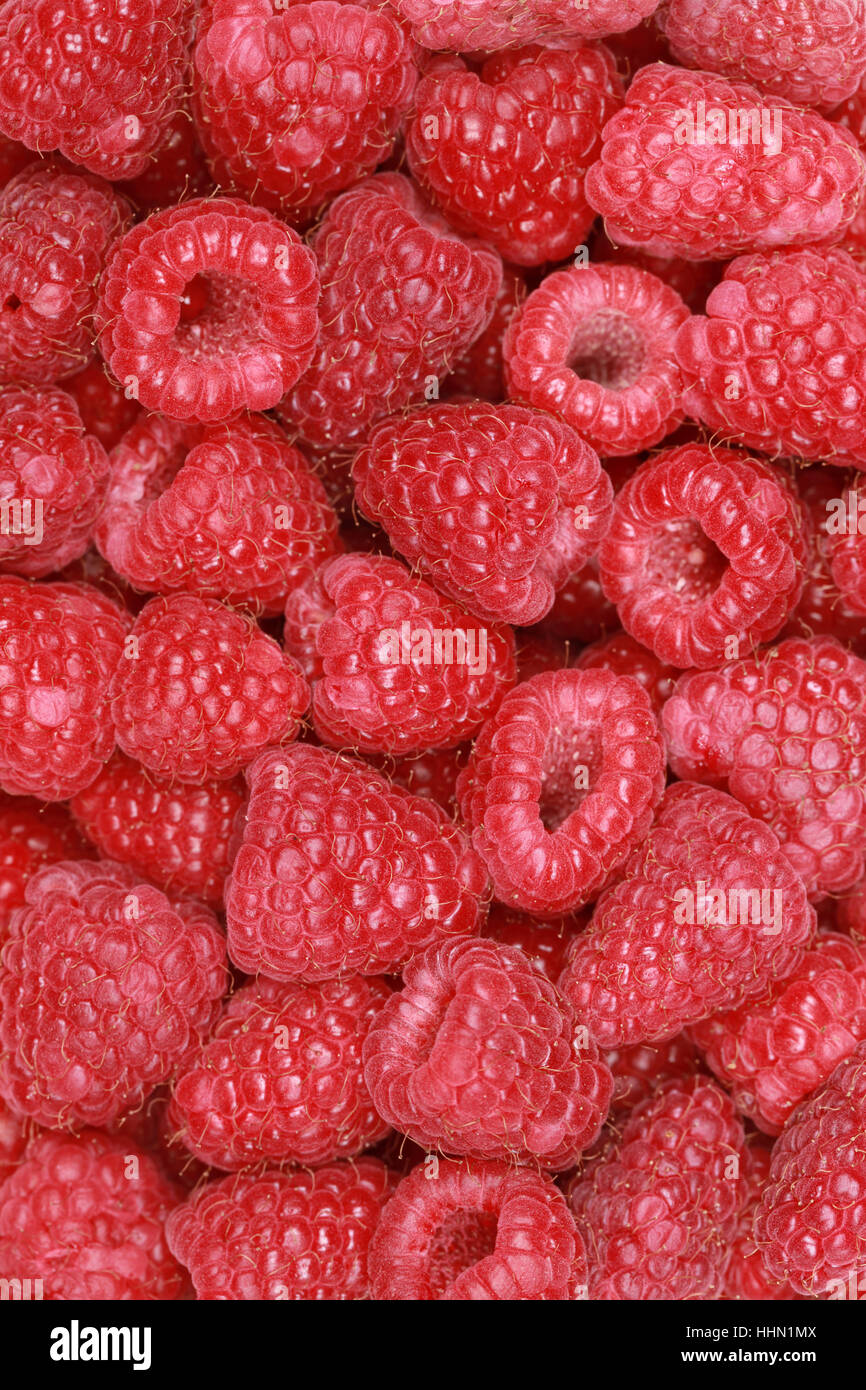 background of raspberries Stock Photo - Alamy