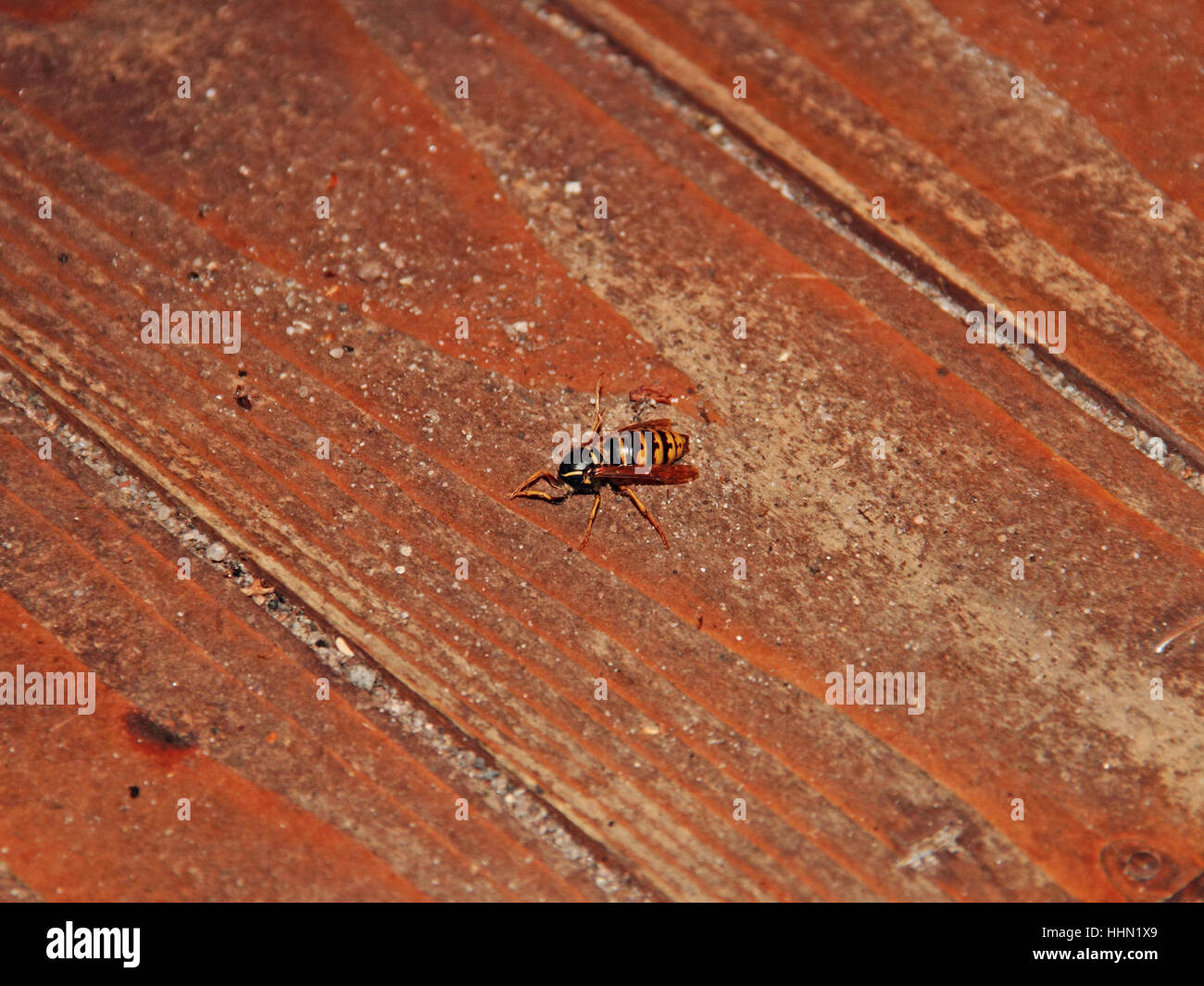 Killer queen queen hi-res stock photography and images - Alamy