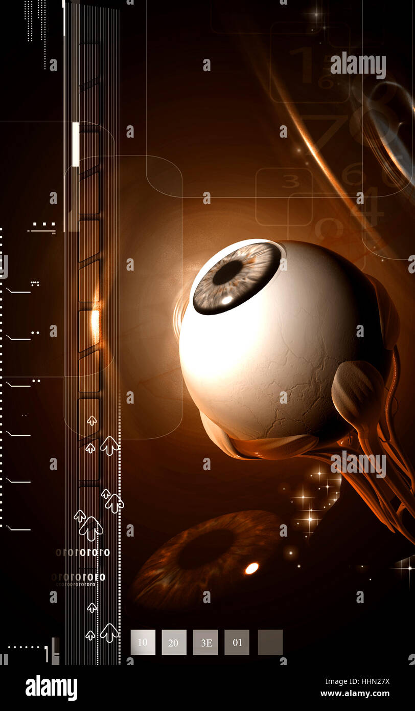 health, medicinally, medical, graphics, colour, illustration, pupil ...