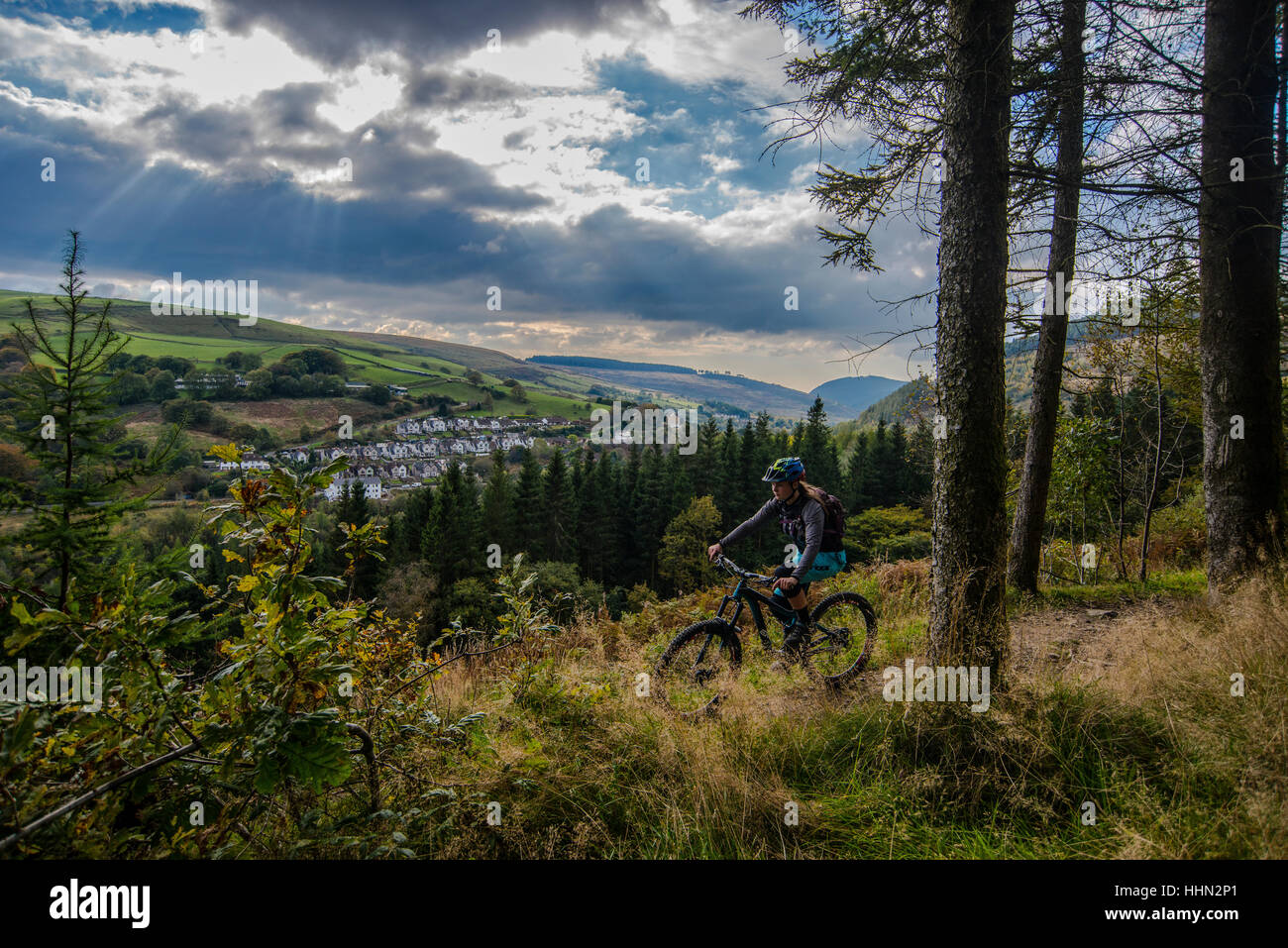 Afan valley forest park visitor centre hi-res stock photography and ...