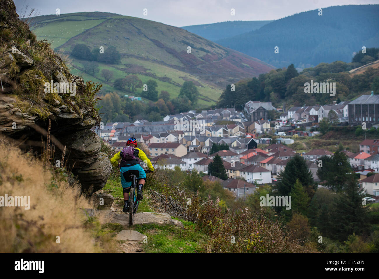 Afan valley forest park visitor centre hi-res stock photography and ...