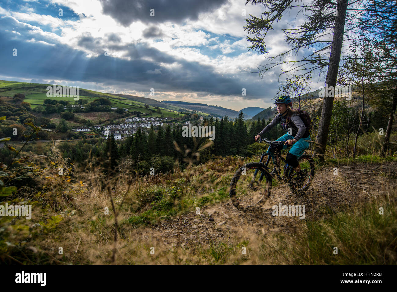 A female mountain biker rides a trail at Glyncorrwg in the Afan Valley ...