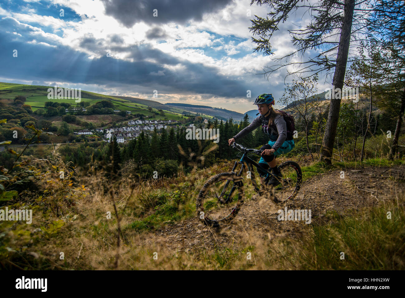 Afan valley forest park visitor centre hi-res stock photography and ...
