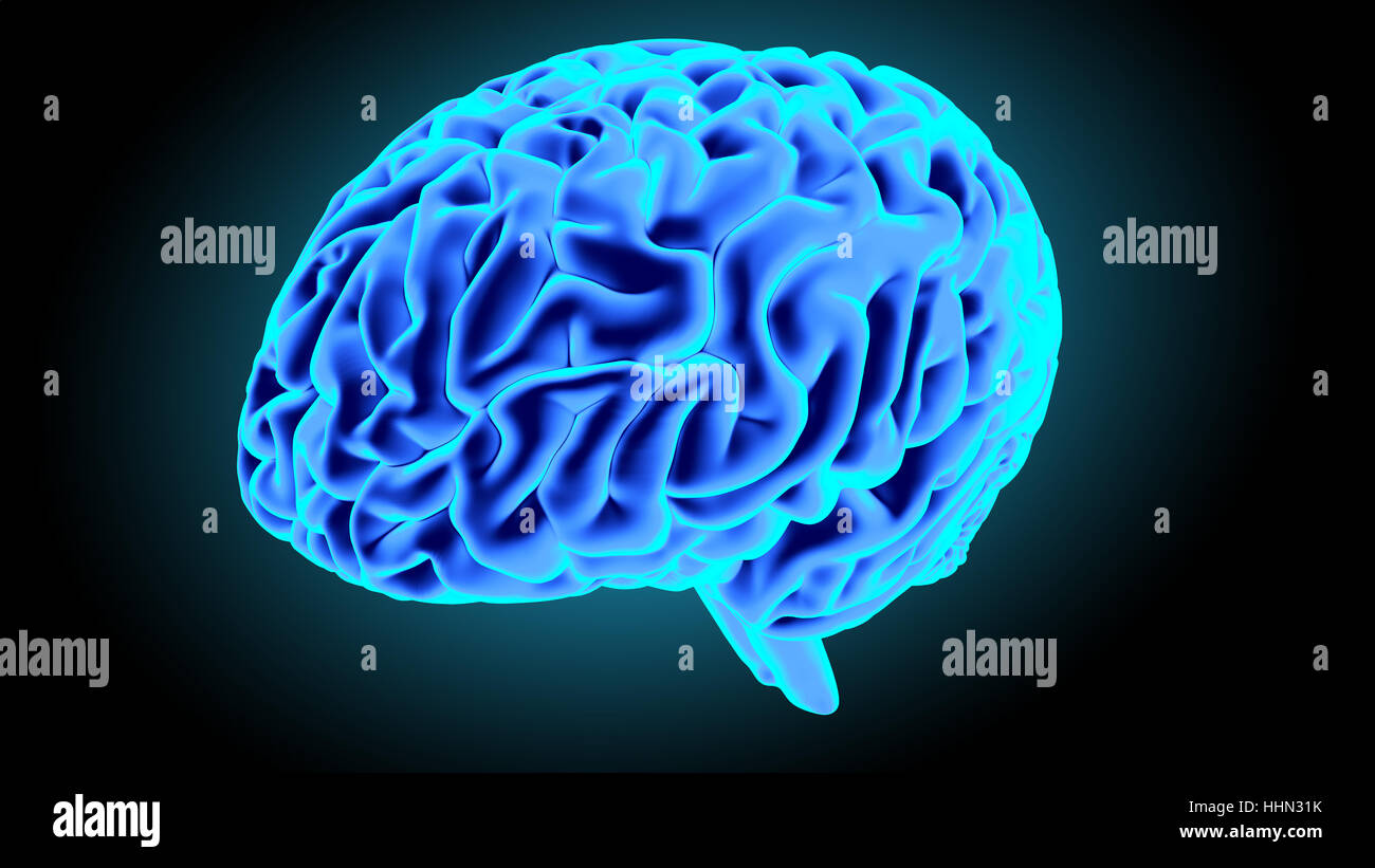 Human brain 3D render Stock Photo - Alamy