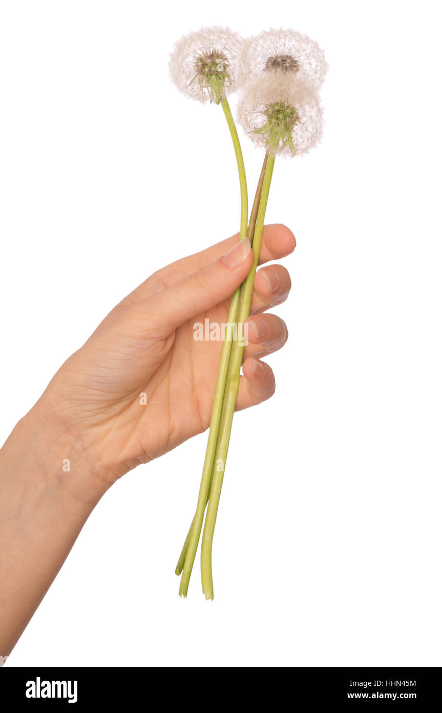 Weeding finger hi-res stock photography and images - Alamy