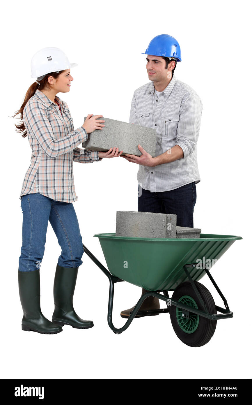 build, adult, brick, adults, builder, woman, close, humans, human ...