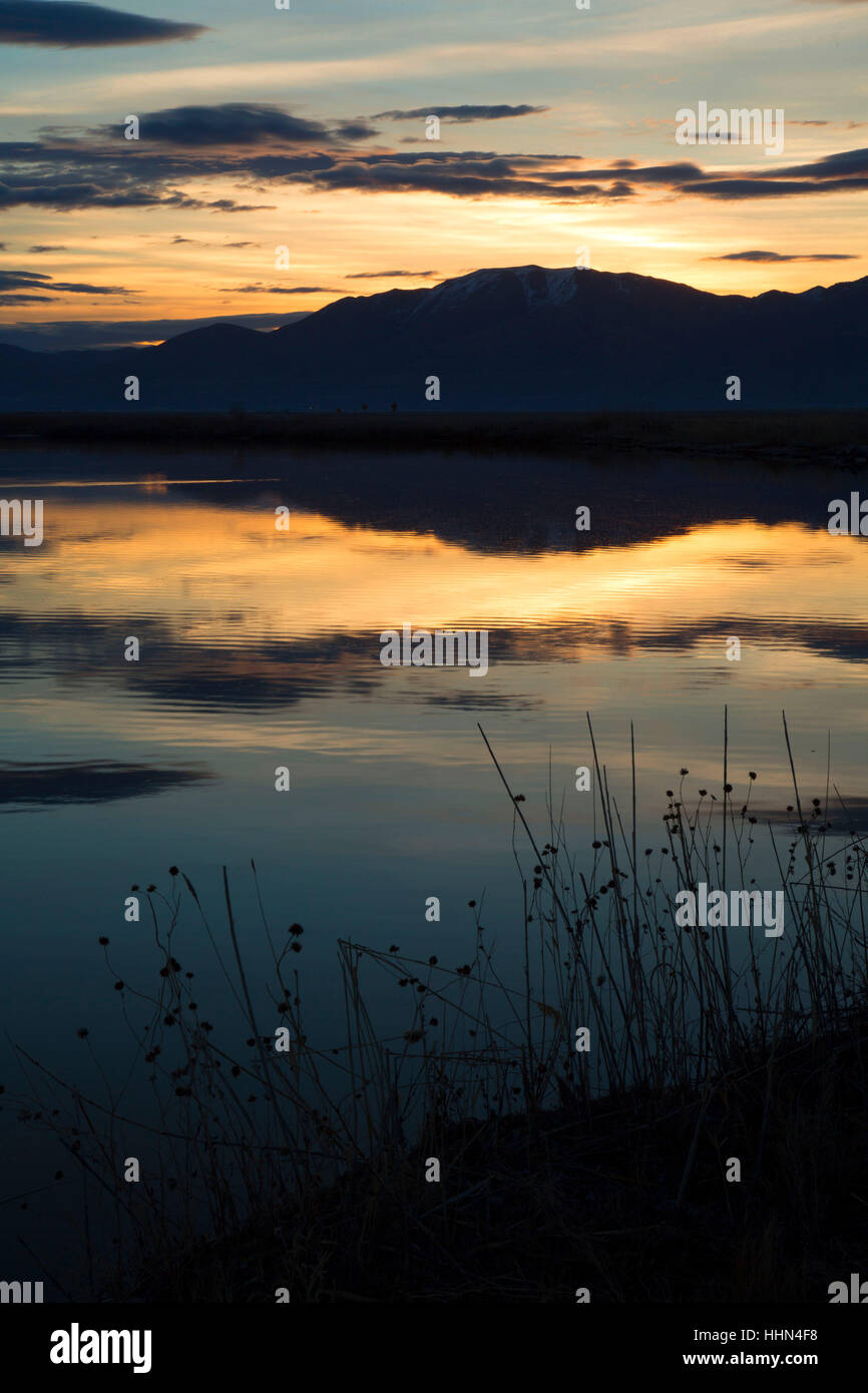 The bear river migratory bird refuge hi-res stock photography and ...