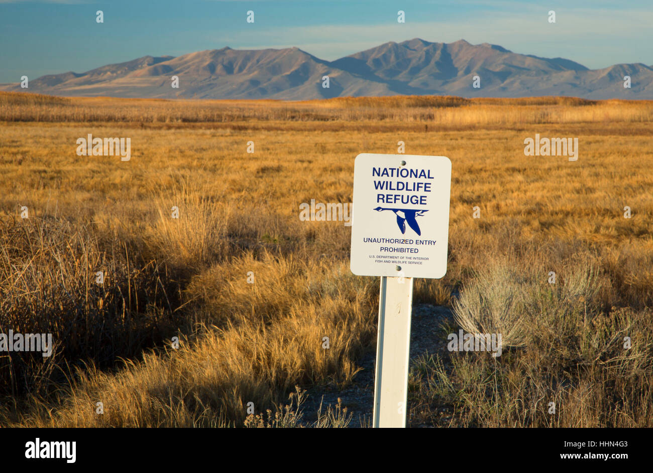 National wildlife refuge sign bird hi-res stock photography and images ...