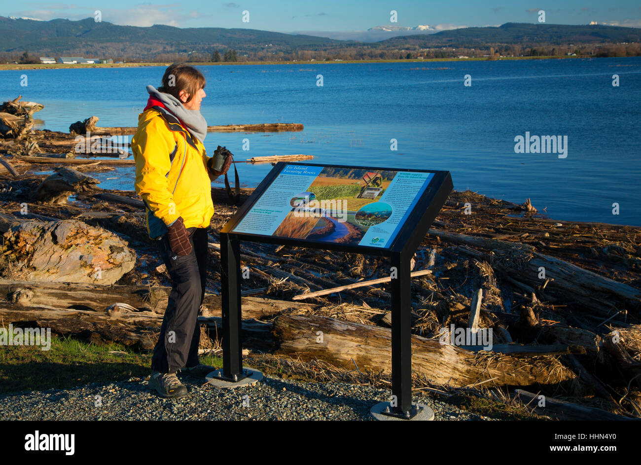 Birder at interpretive board, Fir Island Farms Reserve, Skagit Wildlife ...
