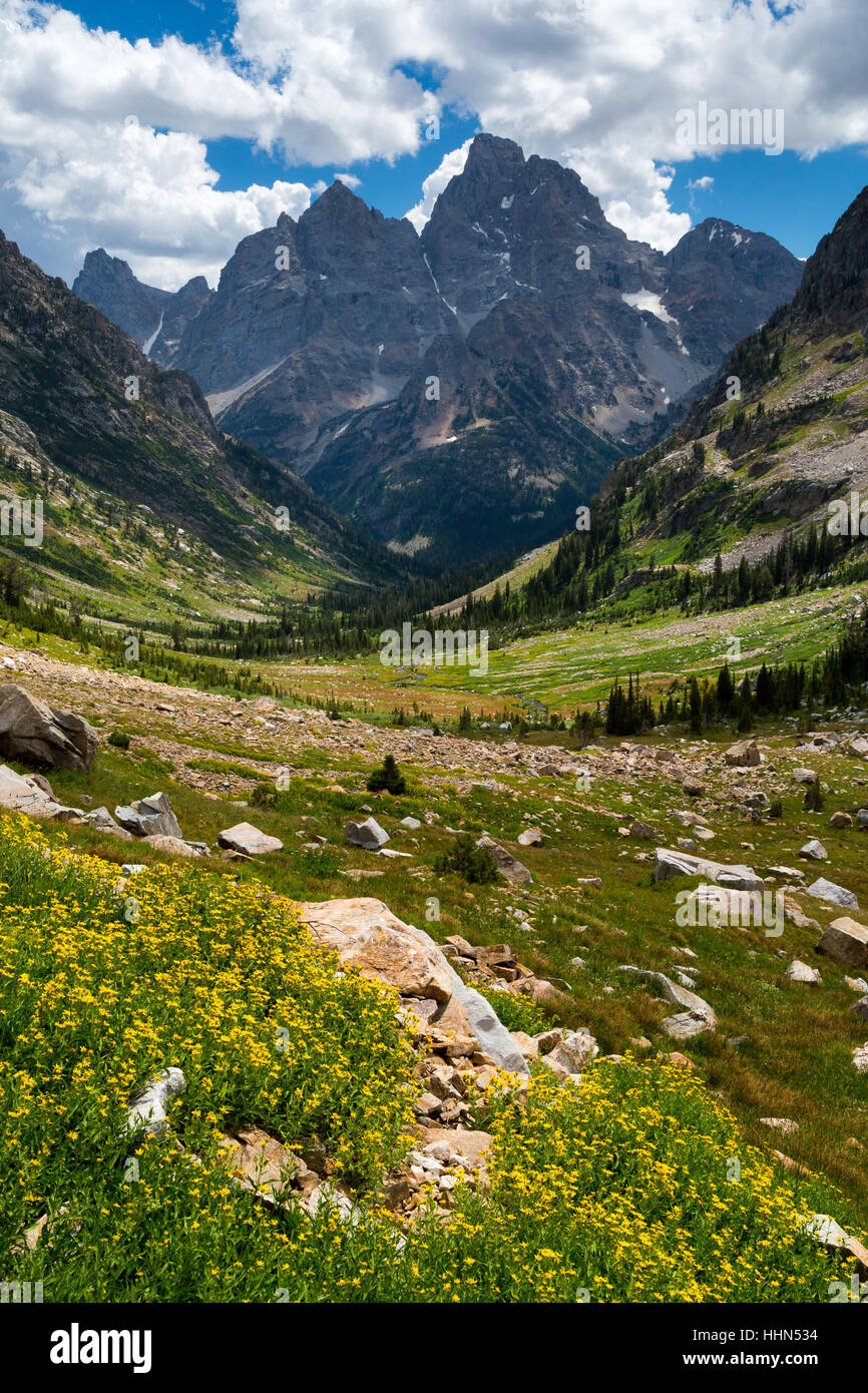 South fork cascade canyon trail hi-res stock photography and images - Alamy