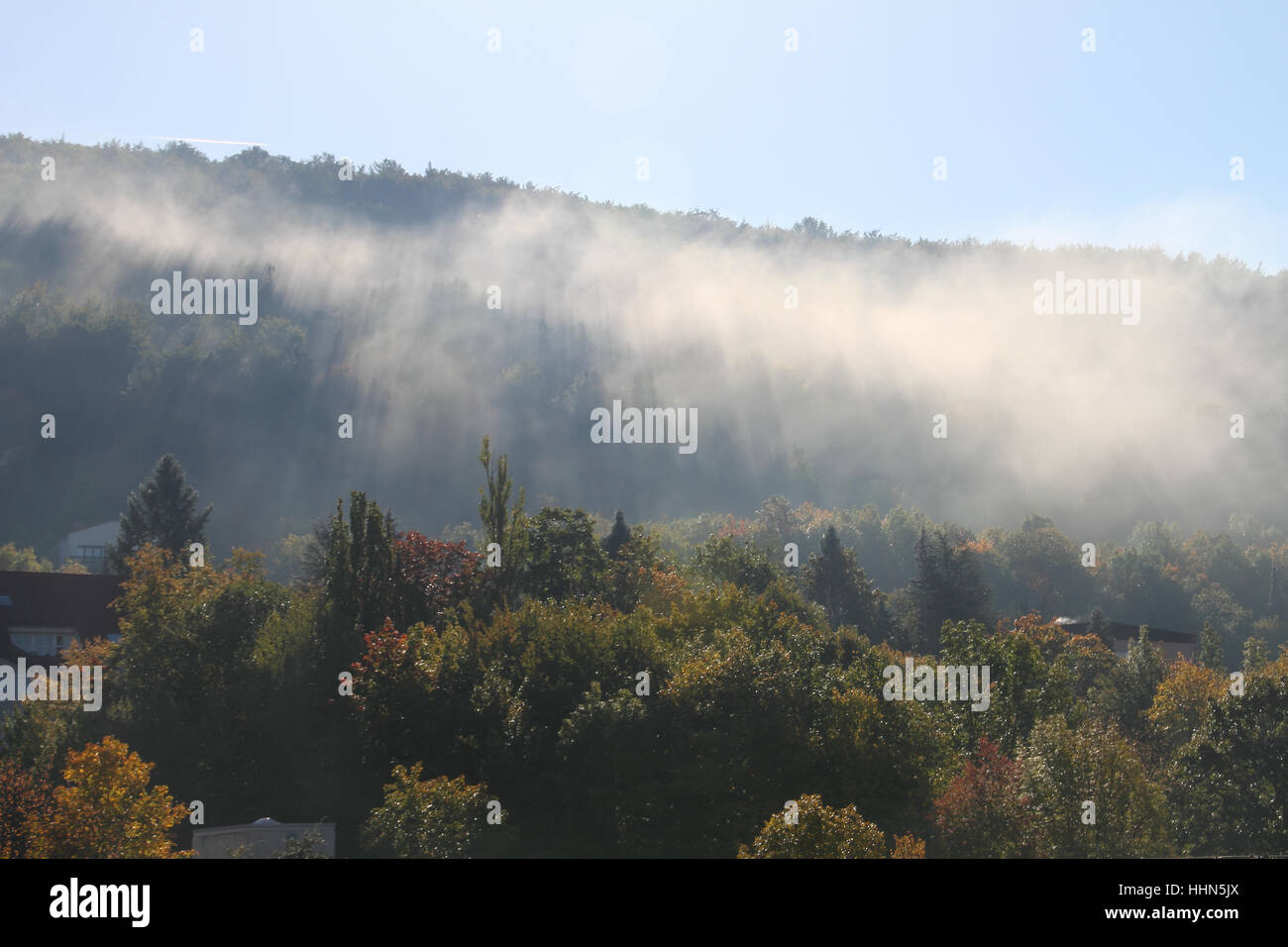 fog, season, mountain, forest, leaves, foliage, weather, fall, autumn ...
