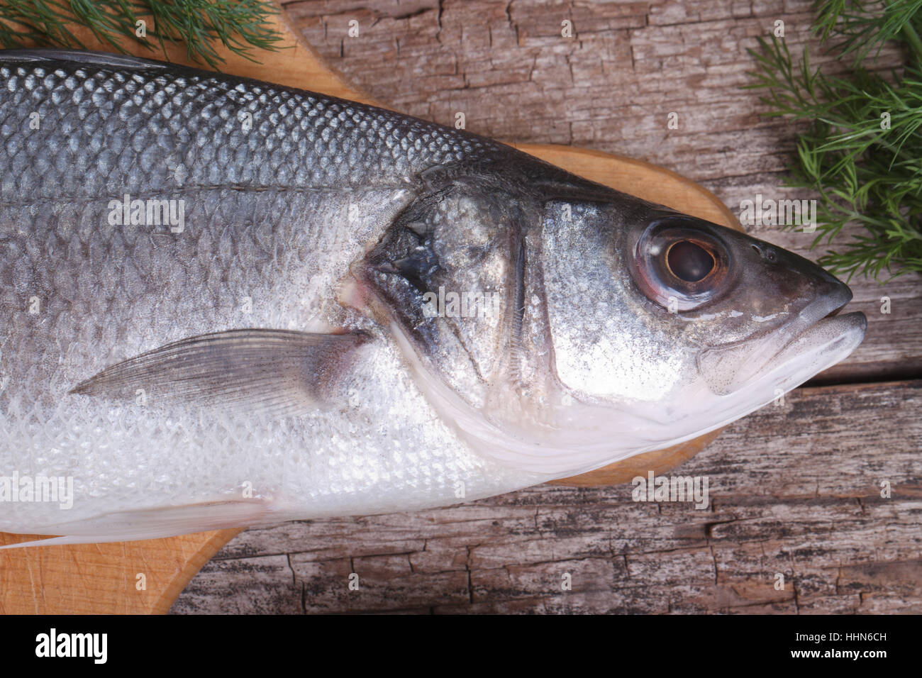 Raw sea bass fish close up on an old table with dill. horizontal. macro ...