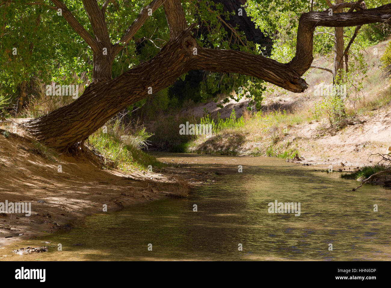 Colorado river flowing below hi-res stock photography and images - Alamy