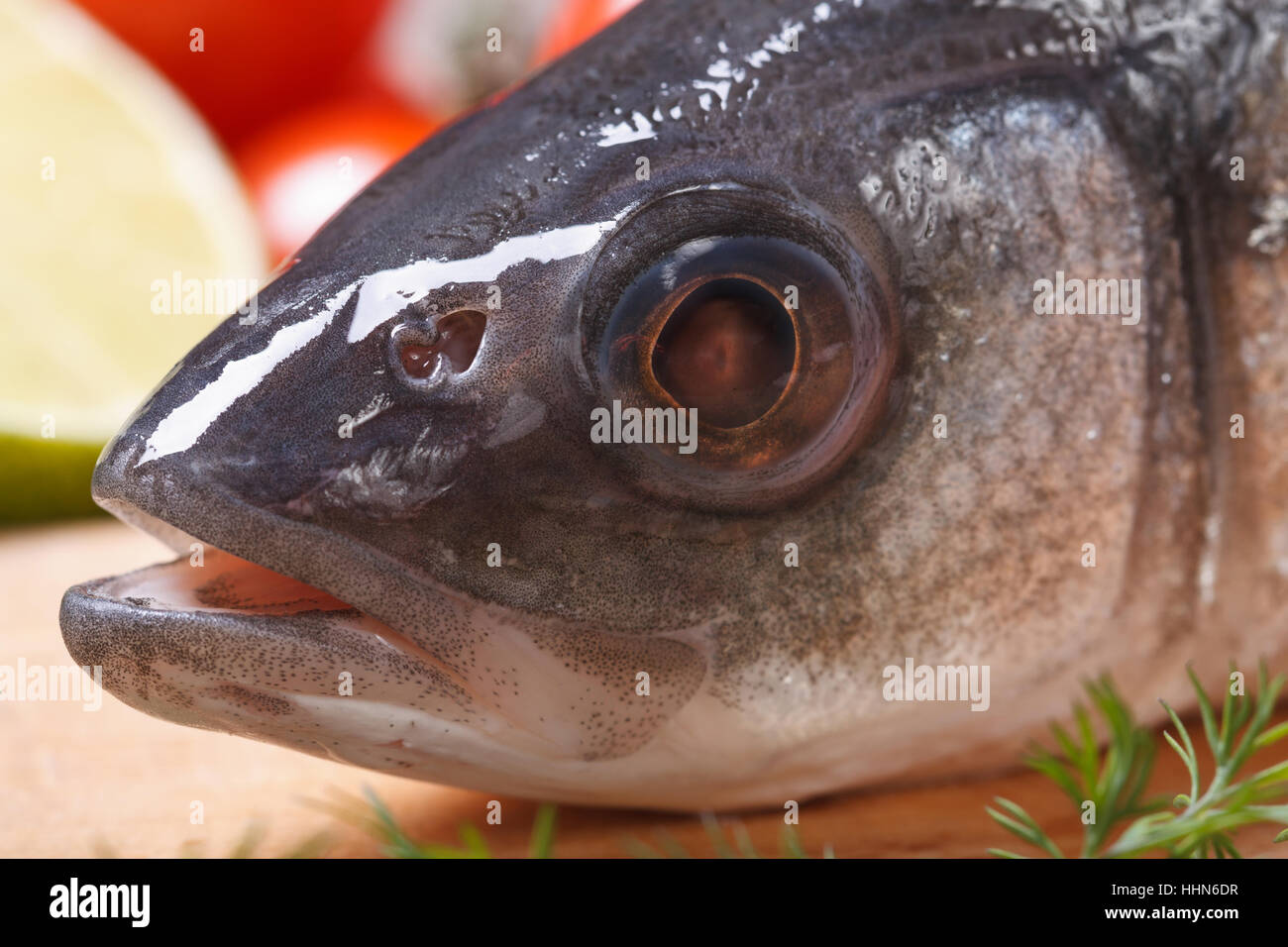Raw sea bass fish head close-up horizontal. side view Stock Photo - Alamy
