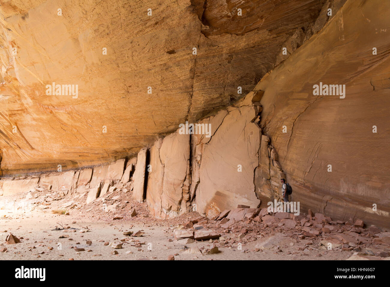 Hiker at the back of a sandstone alcove eroded from the Escalante River ...