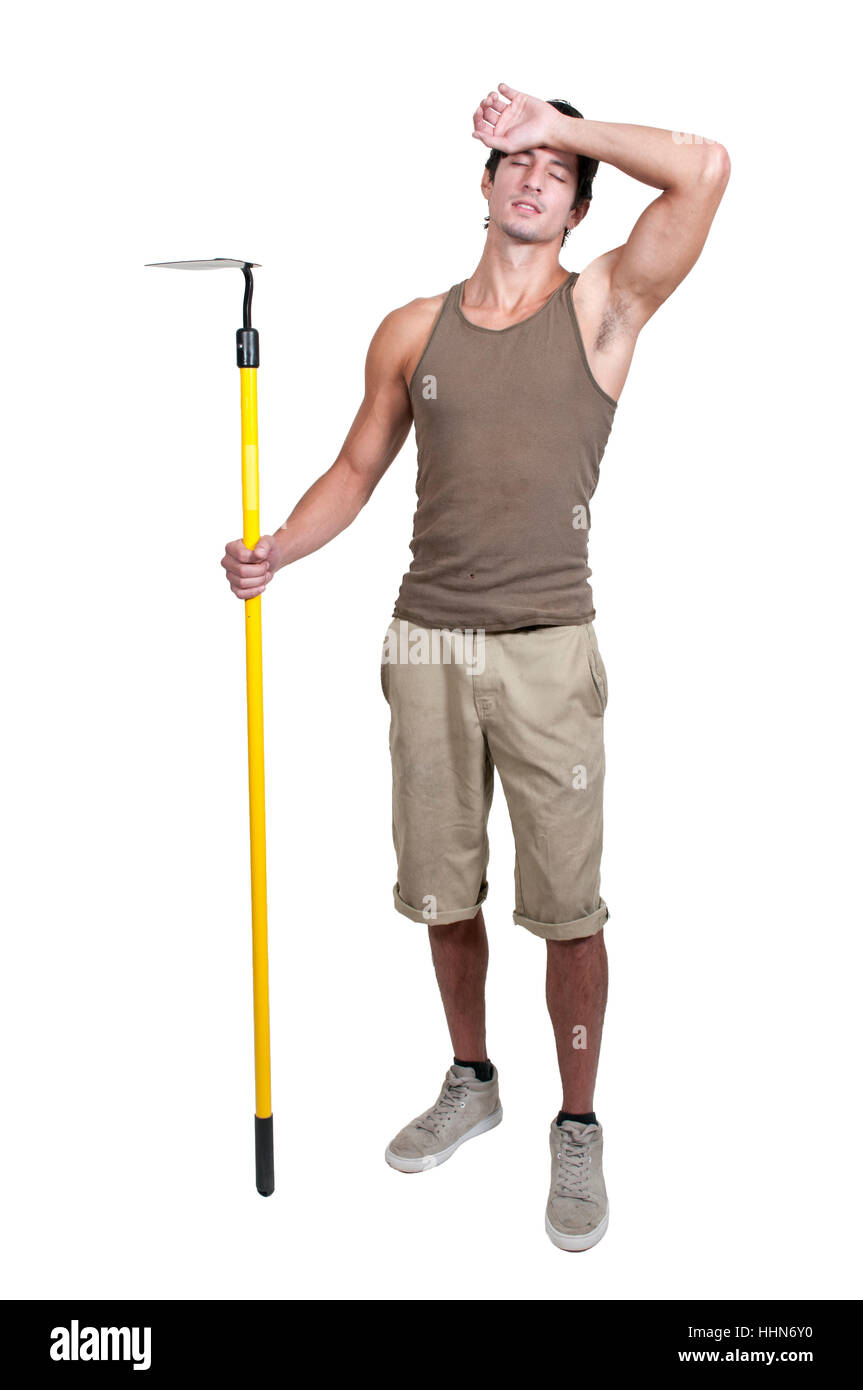 agriculture, farming, field, work, factory, farm, farmer, workers ...