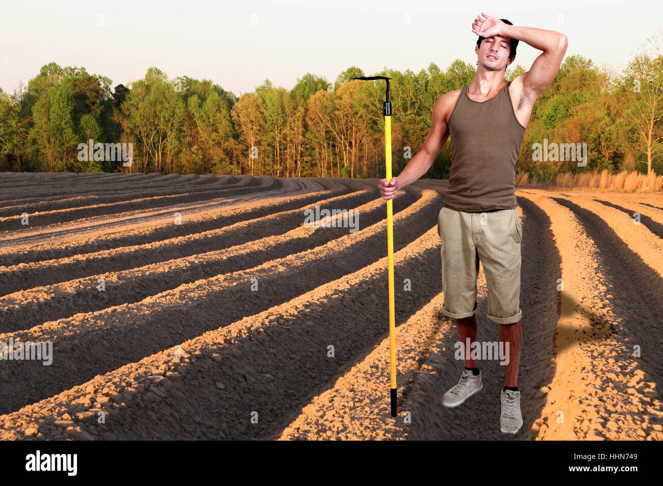 agriculture, farming, field, work, factory, farm, farmer, workers ...