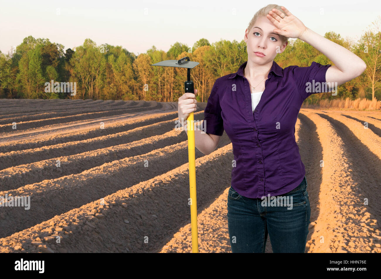 agriculture, farming, field, work, factory, farm, farmer, workers ...