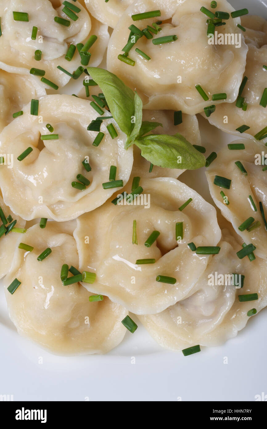 delicious dumplings sprinkled with chives on white plate macro vertical ...
