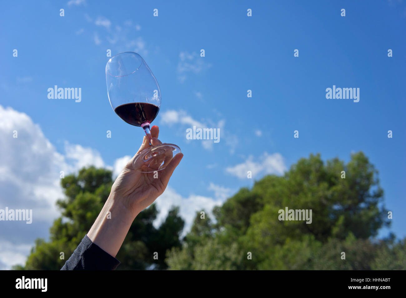 glass, chalice, tumbler, wine, alcohol, party, celebration, goblet ...