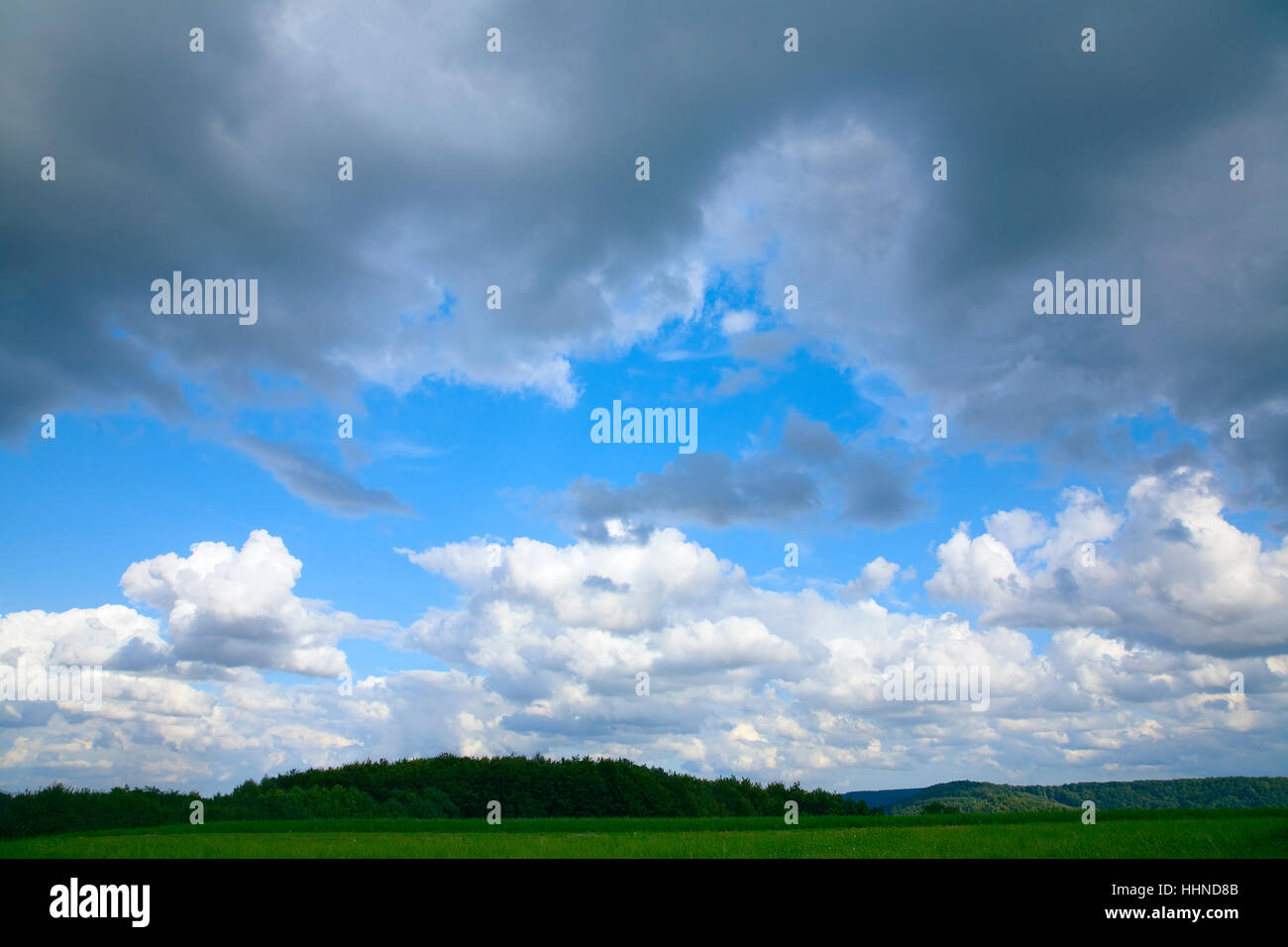 blue, horizon, agriculture, farming, cloud, field, summer, summerly ...