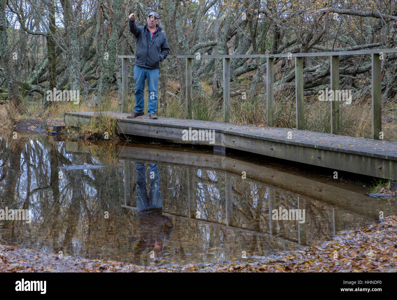 Puddle leaves hi-res stock photography and images - Alamy